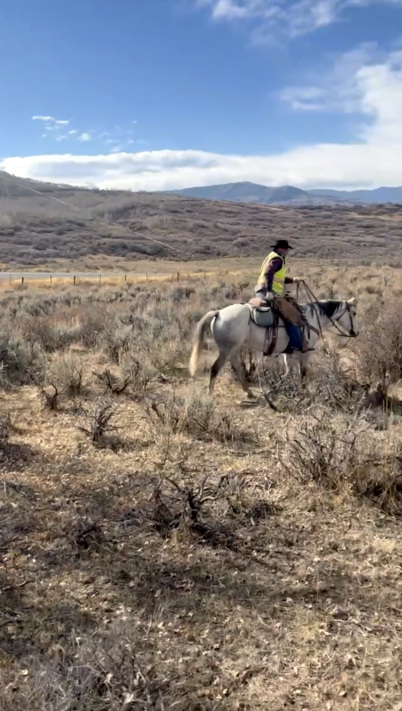 Colorado’s ARPA Horse-Drawn Fiber Lights Up National Park - Fiber Broadband Association